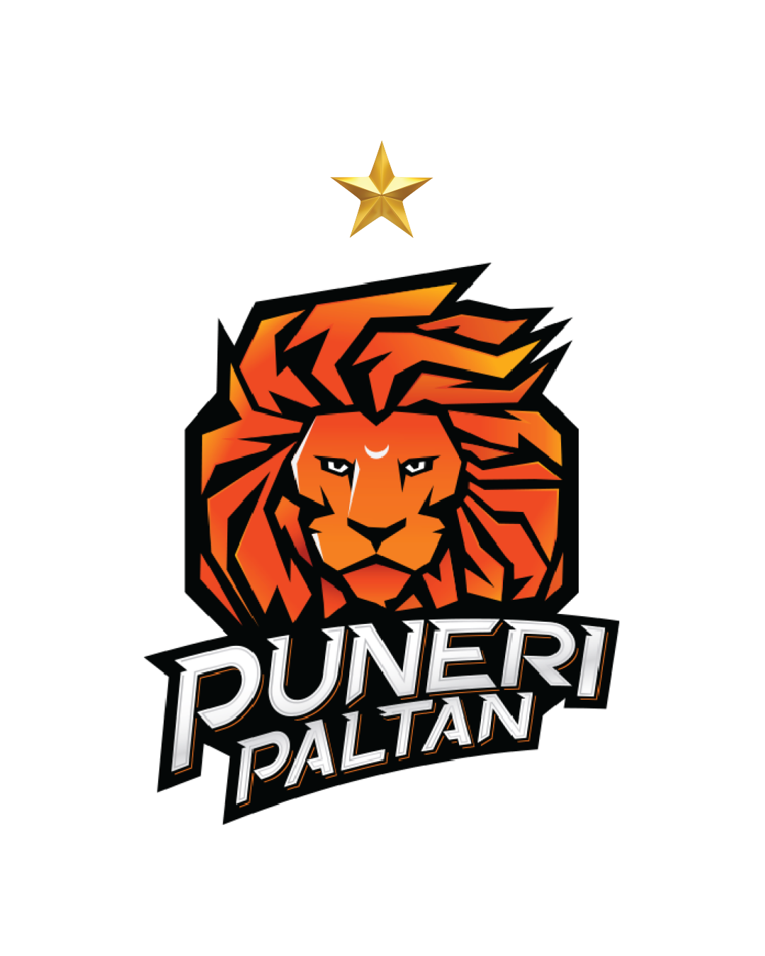 Jaipur Pink Panthers