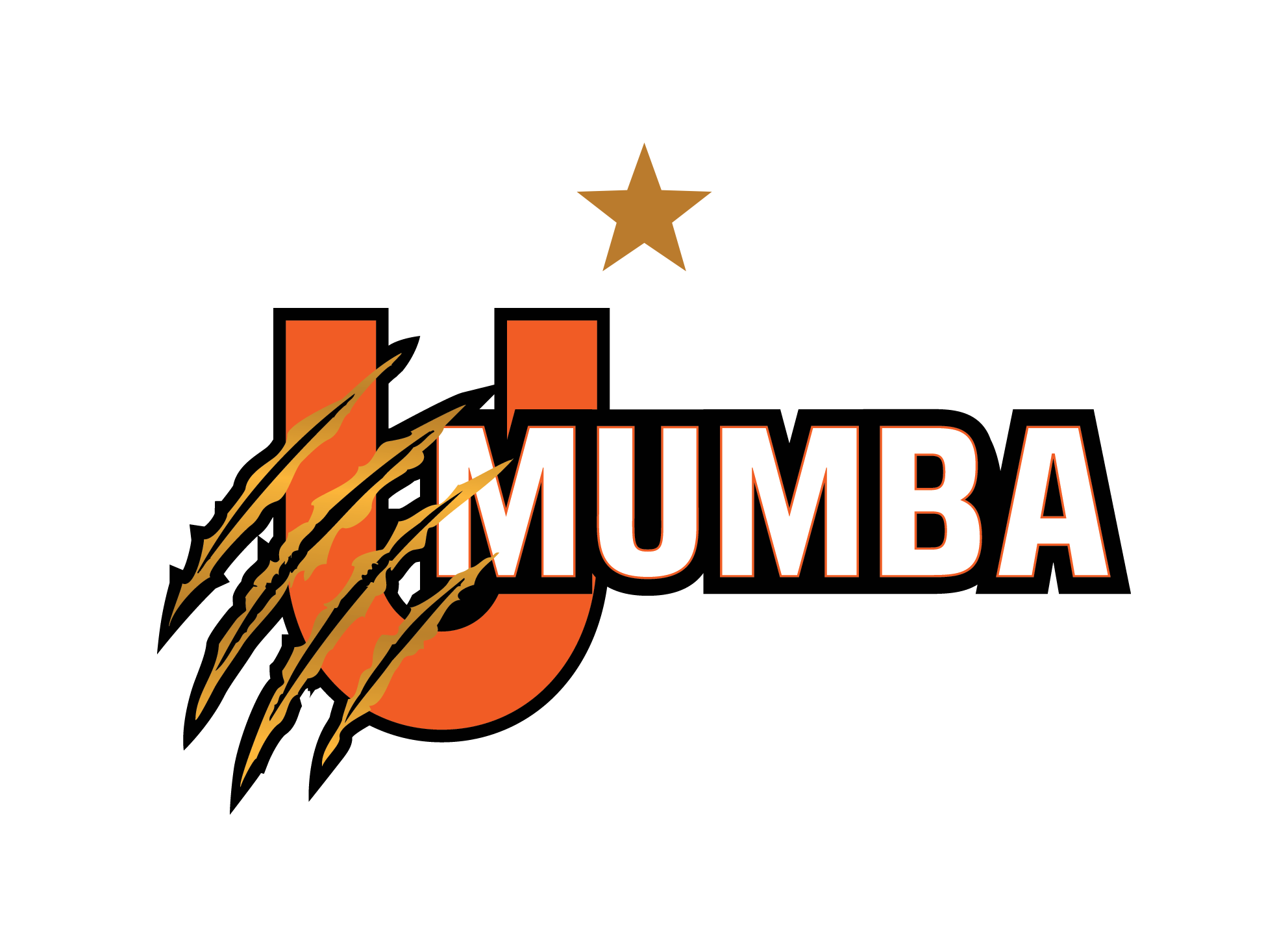 Jaipur Pink Panthers